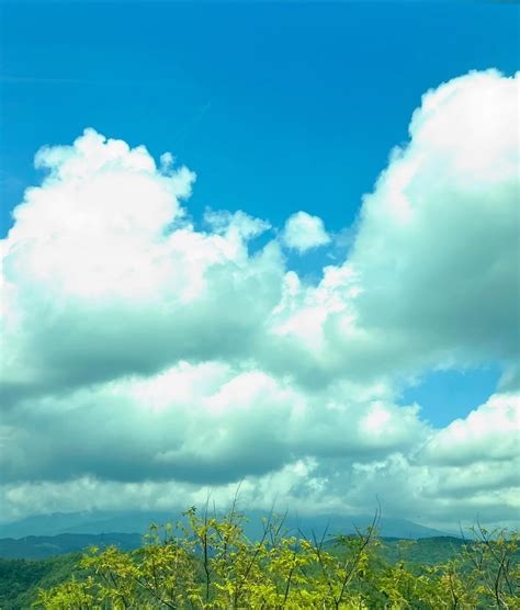 이 글을 읽으면 성공할거야 머피의 법칙 잘못될 수 있는 것은 결국 잘못된다 파킨슨의 법칙 작업은 주어진 시간에 비례 한다 끌림의