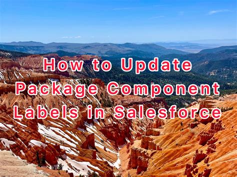 How To Update A Package Component Label In Salesforce Dydc