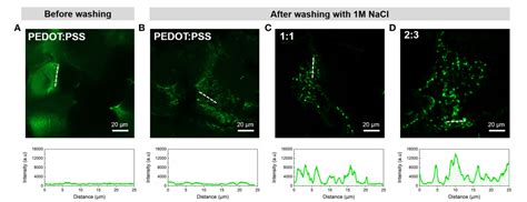 Figure 5 From 3d Hybrid Scaffolds Based On Pedotpssmwcnt Composites Semantic Scholar