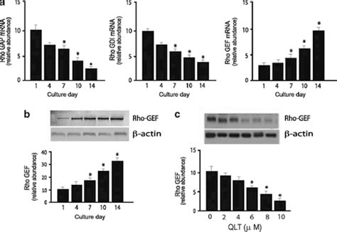 Correction The Function Of Integrin Linked Kinase In Normal And Activated Stellate Cells