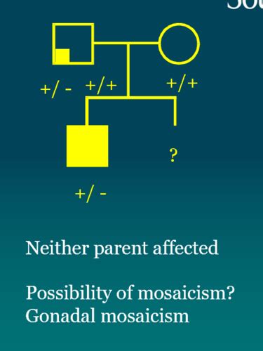 Non Mendelian Patterns Of Inheritance 1 Locomotor Flashcards Quizlet
