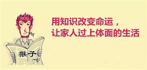 最全的用户数据指标解读 知乎