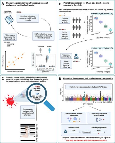 applications of dna methylation based trait prediction prediction of
