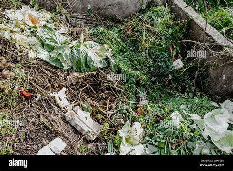 Compost Pit For Food Waste Eco Friendly Consumption Recycling