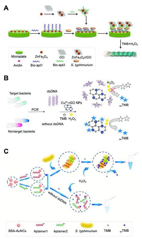 Colorimetric Sensing Strategy Based On Enzyme Like Np Catalyzed Download Scientific Diagram