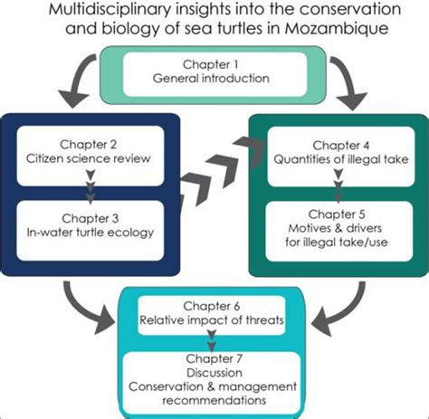 1 Thesis Structure Diagram Download Scientific Diagram