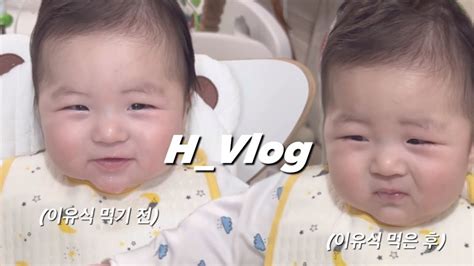 Hvlog 요즘 근황 이유식하고 문센 다니느라 바쁜 일상 브이로그 육아 브이로그 면역력 건강 닥터다니엘