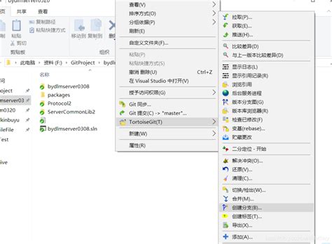 Git小乌龟分支操作 Git小乌龟切换分支 Csdn博客