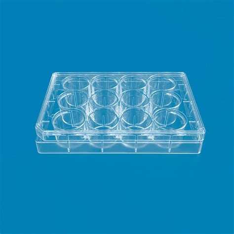Cell Culture Plate 12 Wells Flat Bottom Tc Treated With Lid Steril
