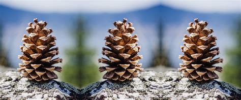 2023 Giants Head Freeride Photos — Jon Huey