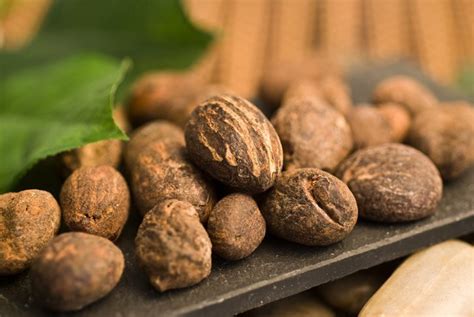 Beneficios De La Manteca De Karité Y Sus Increíbles Propiedades Sofía