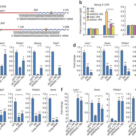 Pml Rara Ra Arsenic And Apl A The Pml Rara Fusion Protein With Download Scientific