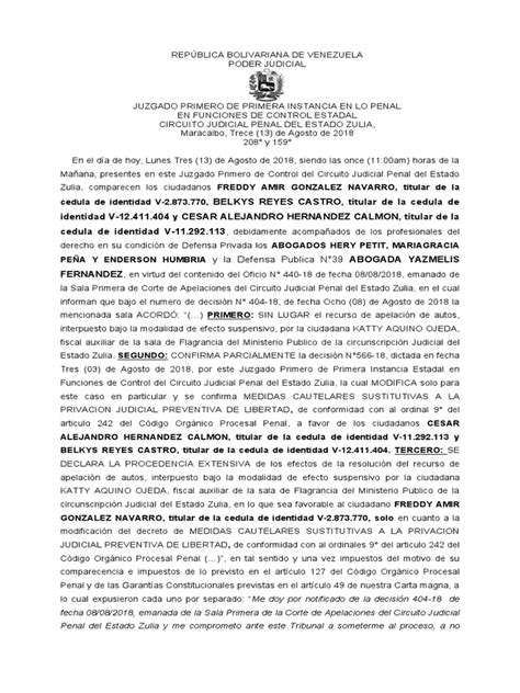 Acta De Comparecencia Descargar Gratis Pdf Judicaturas Ley Politica