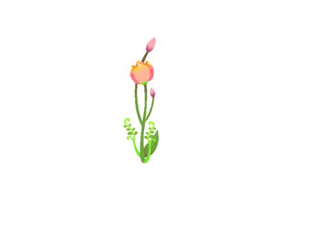 Party Decorative Elements Vector Art Png Vector Flower Decorative