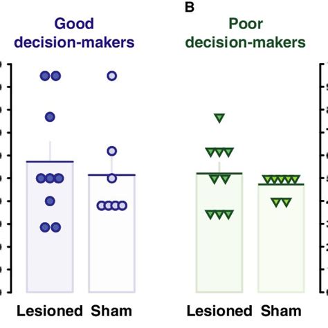 David Belin Professor Of Behavioural Neuroscience Phd University