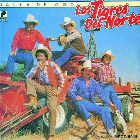 Jaula De Oro English Translation Los Tigres Del Norte Genius Lyrics