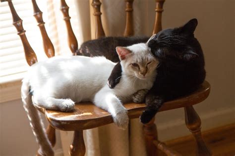 Document Classification With Power Automate And Azure Ai