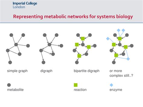 Ppt Metabolic Networks Powerpoint Presentation Free Download Id