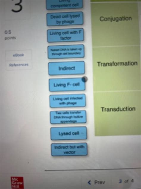 Solved Bacterial Genetics Conjugation Transformation