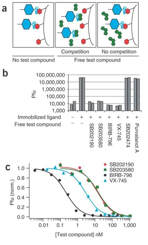 A Small Molecule Kinase Interaction Map For Clinical Kinase Inhibitors Nature Biotechnology