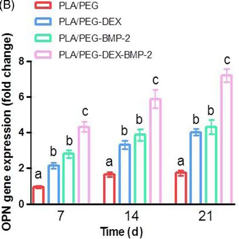 A Alp B Opn And C Ocn Gene Expressions In Bmscs Seed On Four