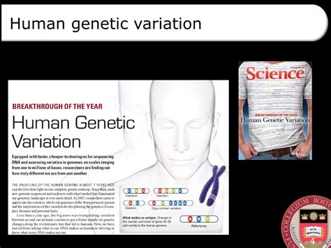 Ppt Bioinformatics And High Throughput Dna Sequencing At Boston