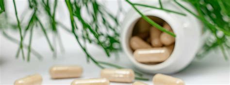 What Do Dietary Supplements Do For You An In Depth Exploration