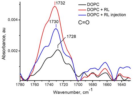 atr−ftir spectra of liposomes from dopc without rhamnolipids black