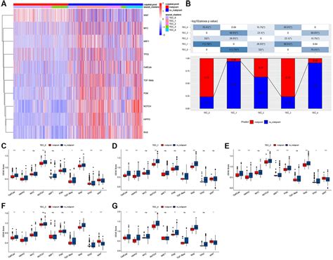 Characterization Of Tumor Endothelial Cells Tec In Gastric Cancer And Development Of A Tec