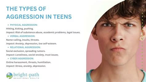 Aggression In Teens Types Causes Symptoms Bright Path Adolescent