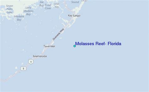 Molasses Reef Florida Tide Station Location Guide