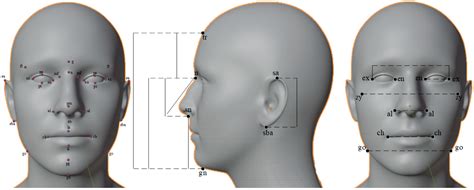 Review Facial Anthropometric Landmark Extraction And Nasal
