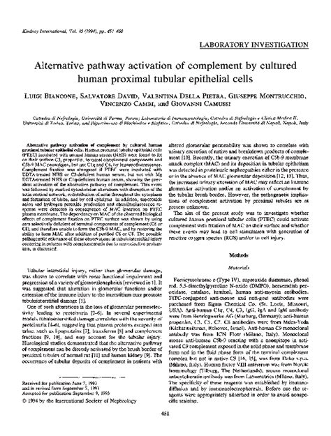 Pdf Alternative Pathway Activation Of Complement By Cultured Human