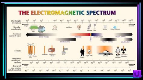 Classification Of Waves Pptx Physics Science