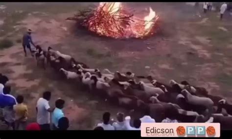 Lo Peligroso No Es Es El Fuego Es La Obediencia Ciega Album On Imgur