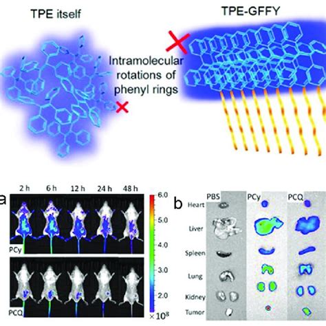 Pdf A Review On Recent Advances In Amino Acid And Peptide Based Fluorescence And Its Potential