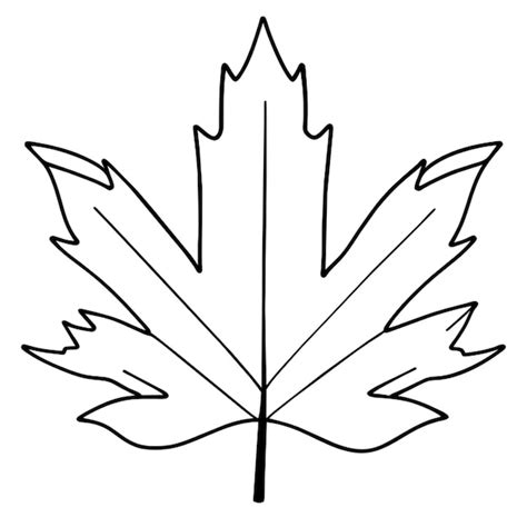 Maple Leaf Vector Illustration Line Art Premium Ai Generated Vector
