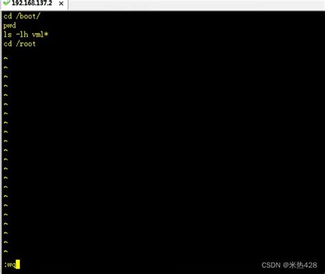 Shell基础 Csdn博客