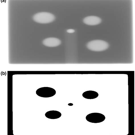 Pictures Of A The Fso Phantom And B The Validation Phantom With Download Scientific Diagram