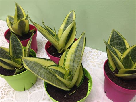 Дотоод орчны агаар гадаад орчныхоос чухал