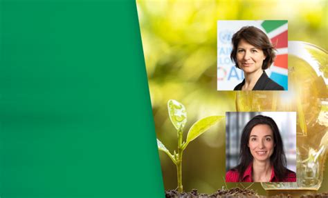 Articles Bnp Paribas Cib