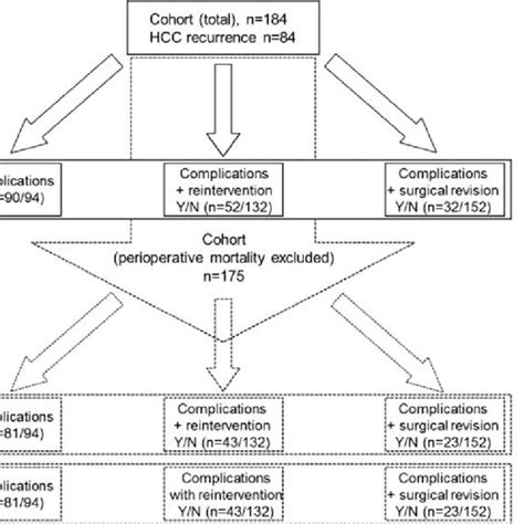 Study Design Algorithm Patients Data Were Analyzed In Two Steps After