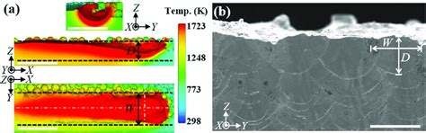 Molten Pool Morphology A Cross Sections Of The Simulated Molten Pool Download Scientific