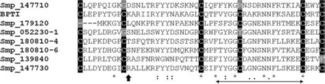Clustal Alignment Of The Kunitz Domains Of Smp147710 Smp179120