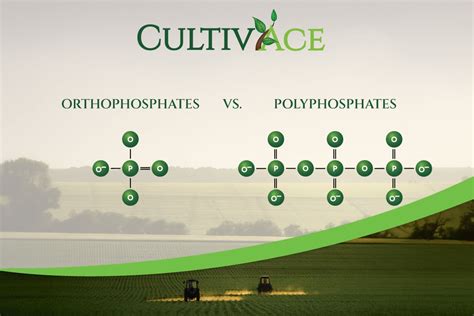Comparing Orthophosphates Vs Polyphosphate Fertilizers — Cultivace