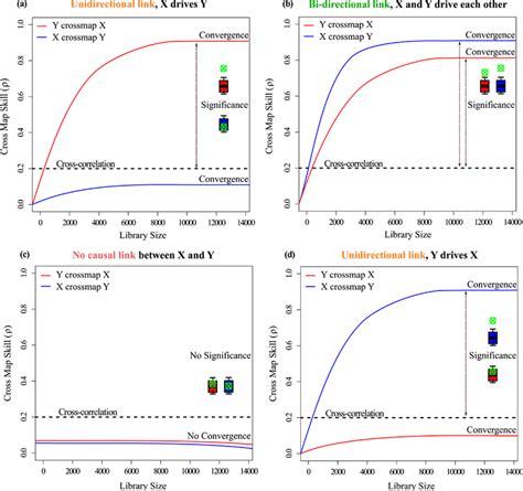 Explanatory Example Of Convergent‐cross Mapping Results And