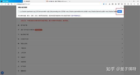 资源下载 下载磁力链接文件也能跑满你的宽带 知乎