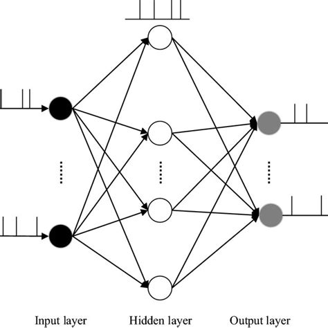 Structure Of A Multilayer Feedforward Spiking Neural Network Download Scientific Diagram