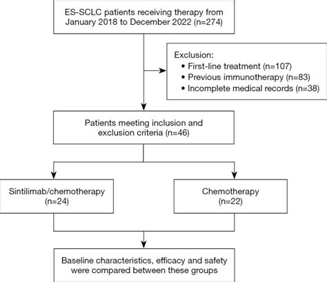 Efficacy And Safety Of Sintilimab In Combination With Chemotherapy For Recurrent Extensive Stage