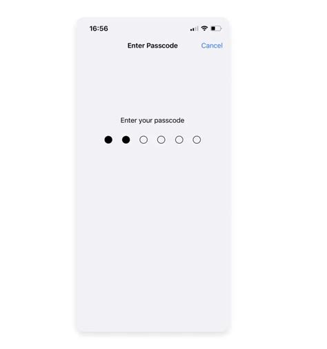 How To Change Password On IPhone PassHulk
